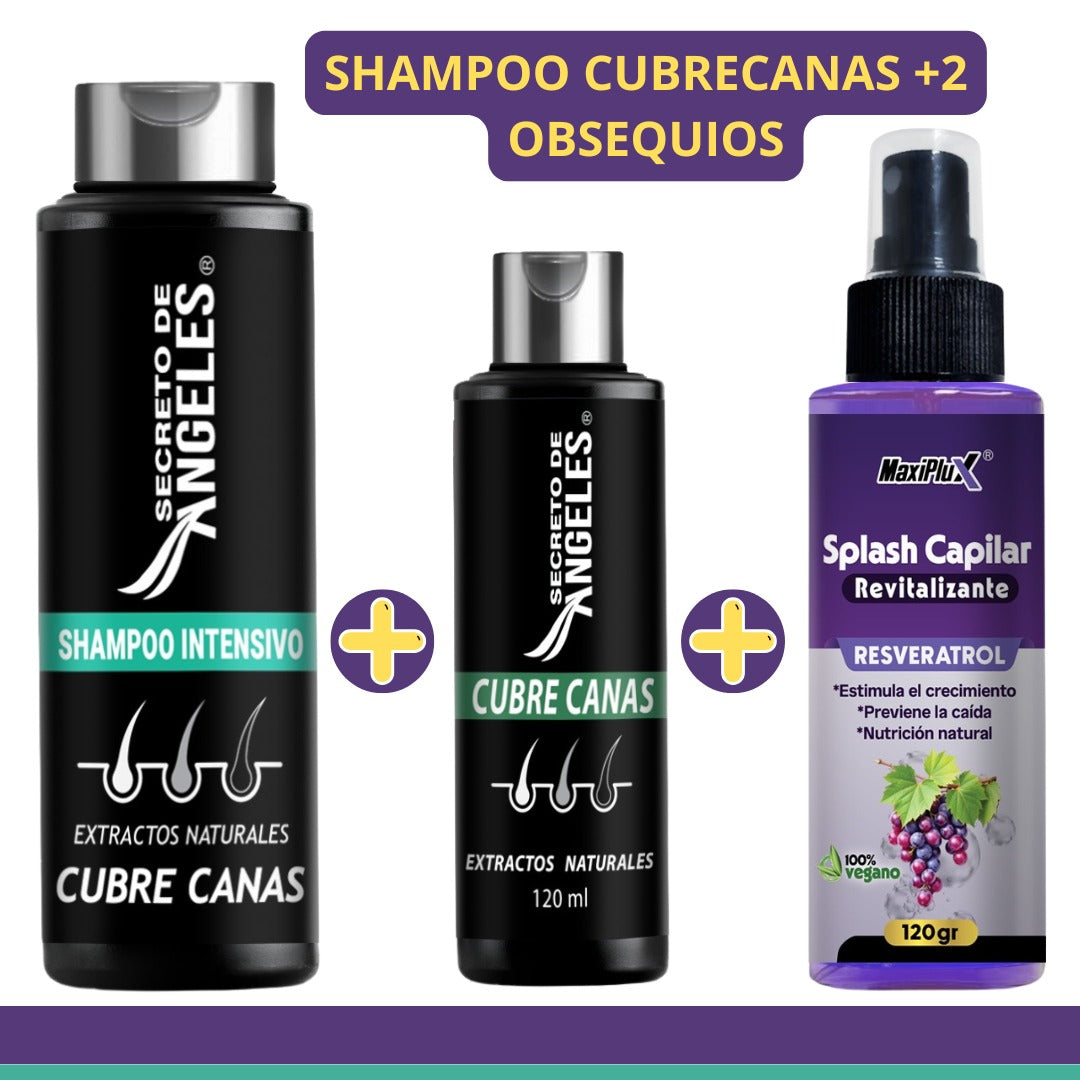 Productos – NOVA TREND